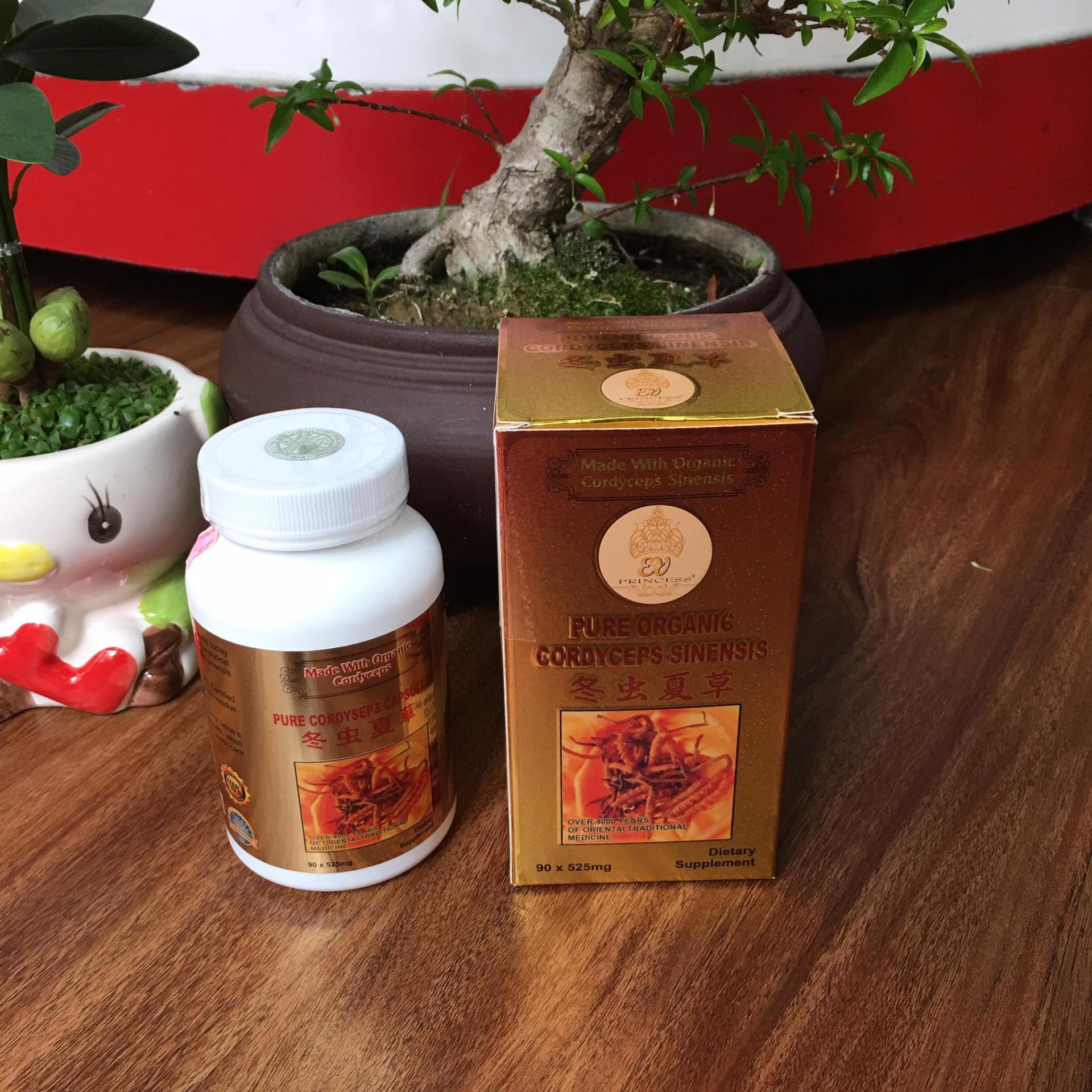 Đông Trùng Hạ Thảo – EV Princess